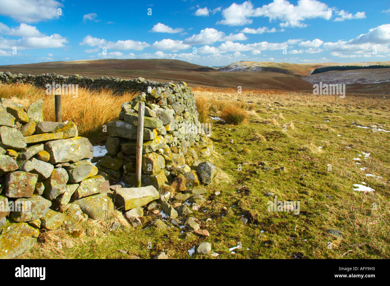 England, Northumberland, Northumberland National Park. Cattle shelter ...
