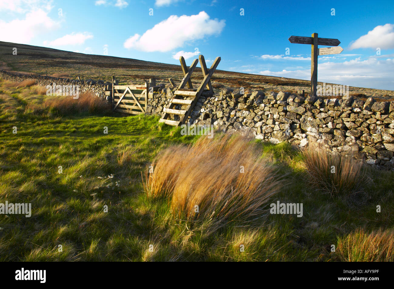 Walking track ladder hi-res stock photography and images - Alamy