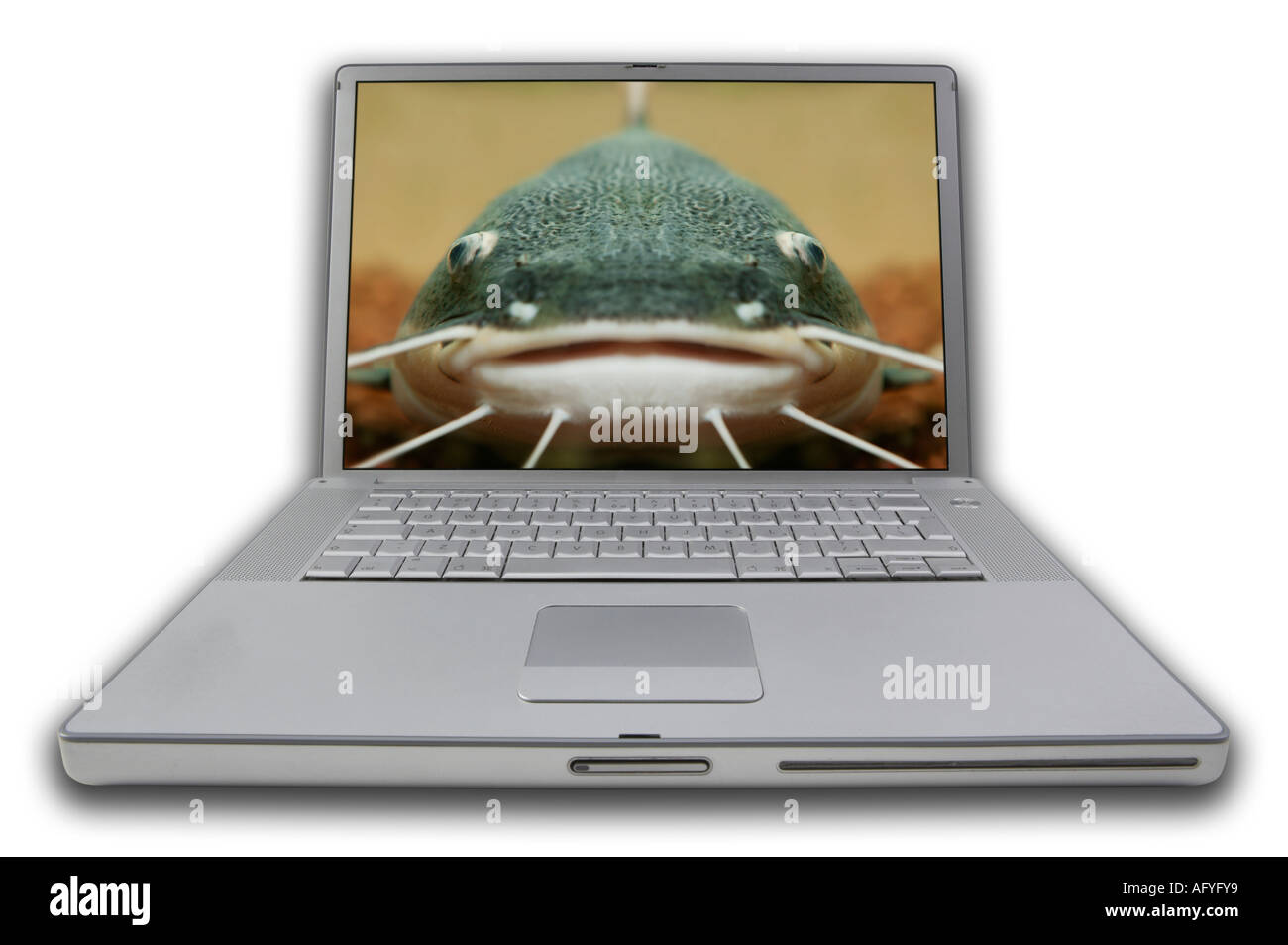 LAP TOP NOTE BOOK PERSONAL COMPUTER WITH SCREEN DISPLAYING PICTURE OF ...