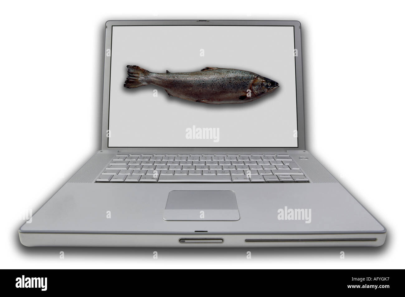 LAP TOP NOTE BOOK PERSONAL COMPUTER WITH SCREEN DISPLAYING PICTURE OF ...