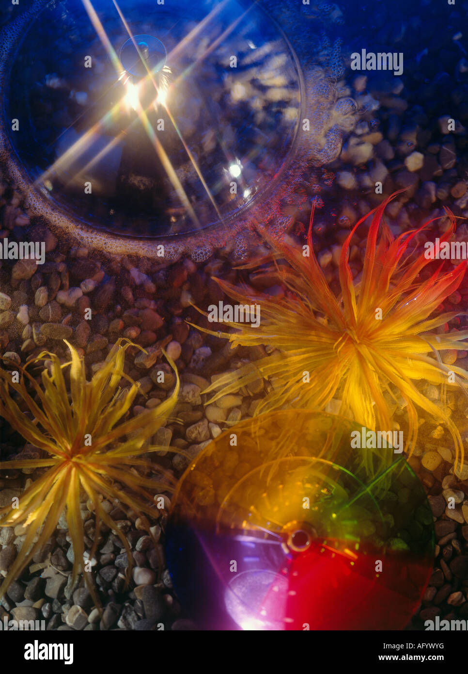 Decorative lighting effects hi-res stock photography and images - Alamy