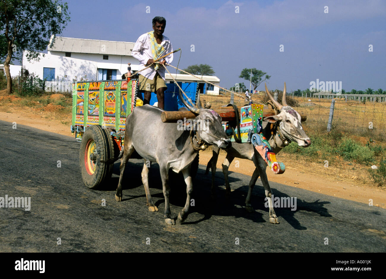 South India Karnataka Village Life Decorated Bullock Cart Stock Photo ...