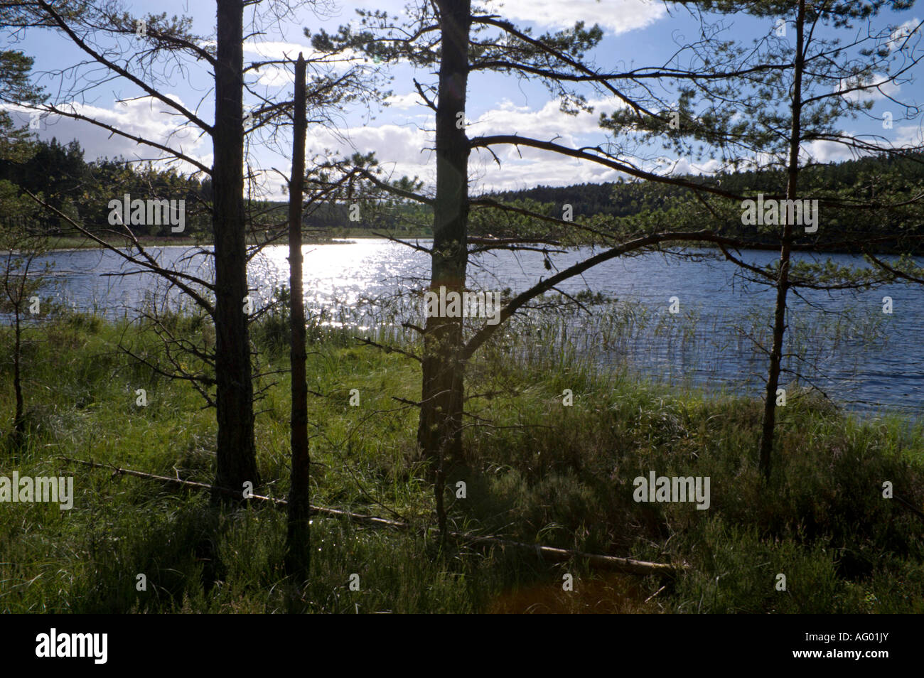 View of Uath Lochan in the Scottish Highlands Stock Photo - Alamy