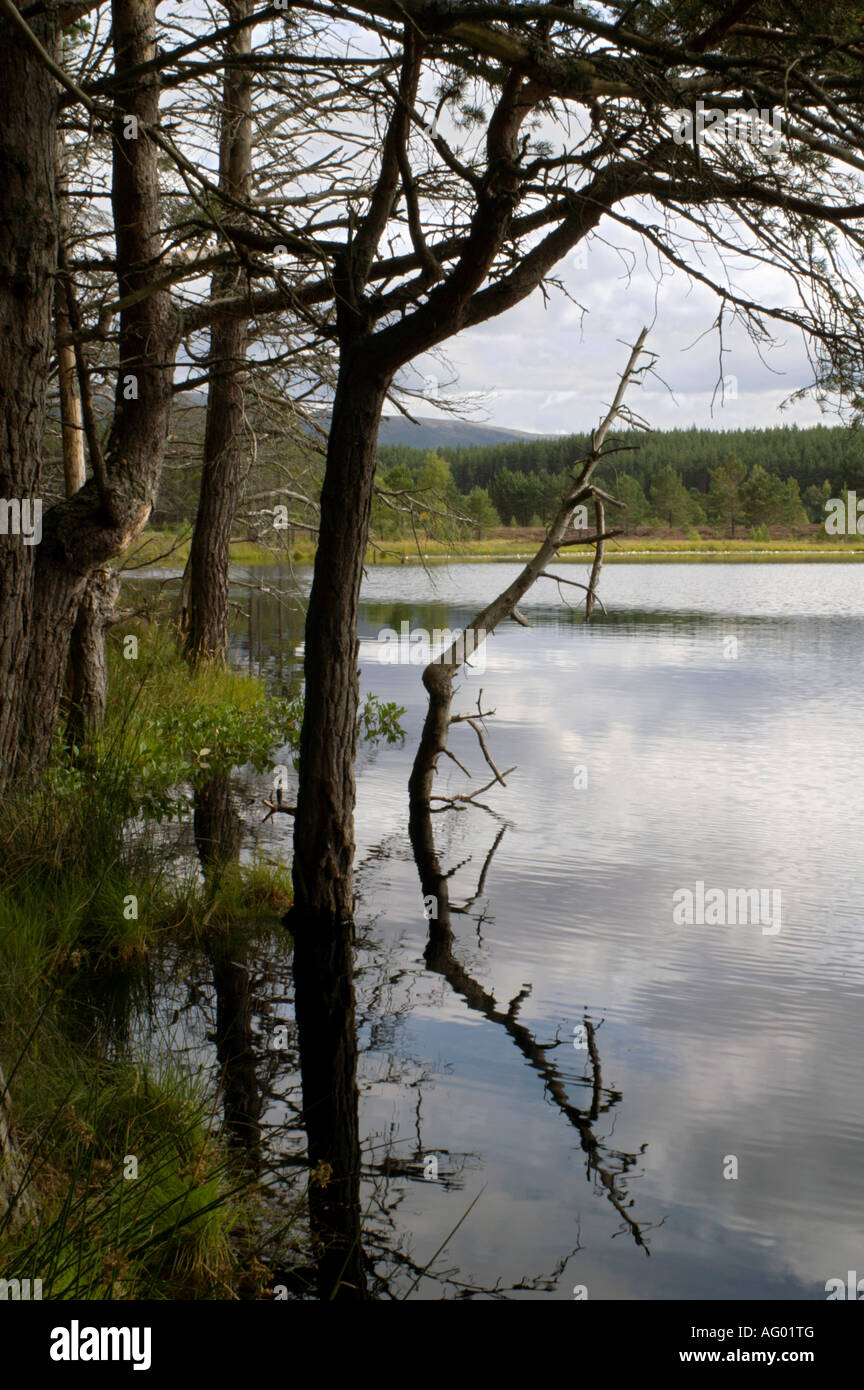 View of Uath Lochan in the Scottish Highlands Stock Photo - Alamy