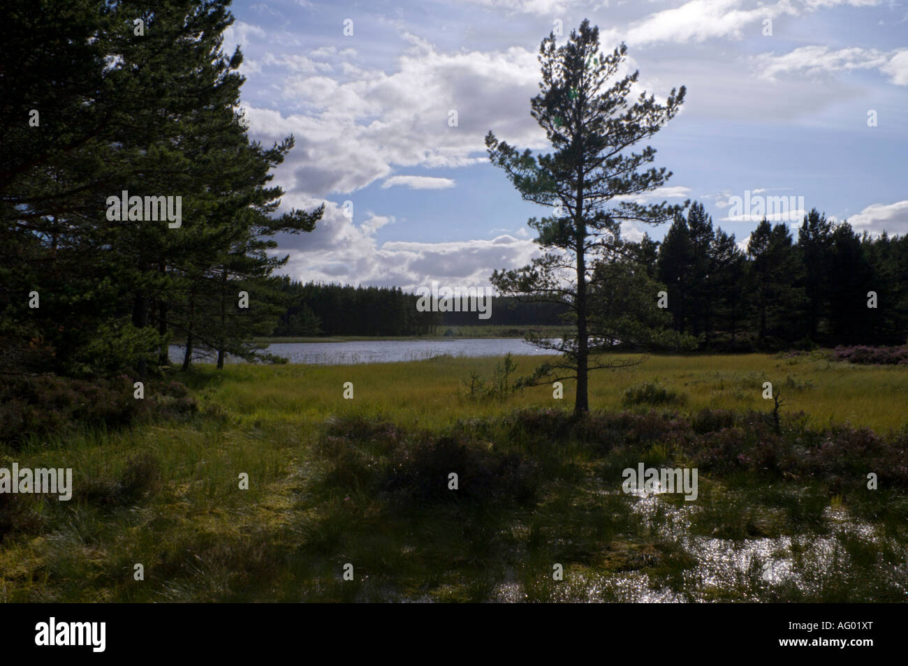 View of Uath Lochan in the Scottish Highlands Stock Photo - Alamy