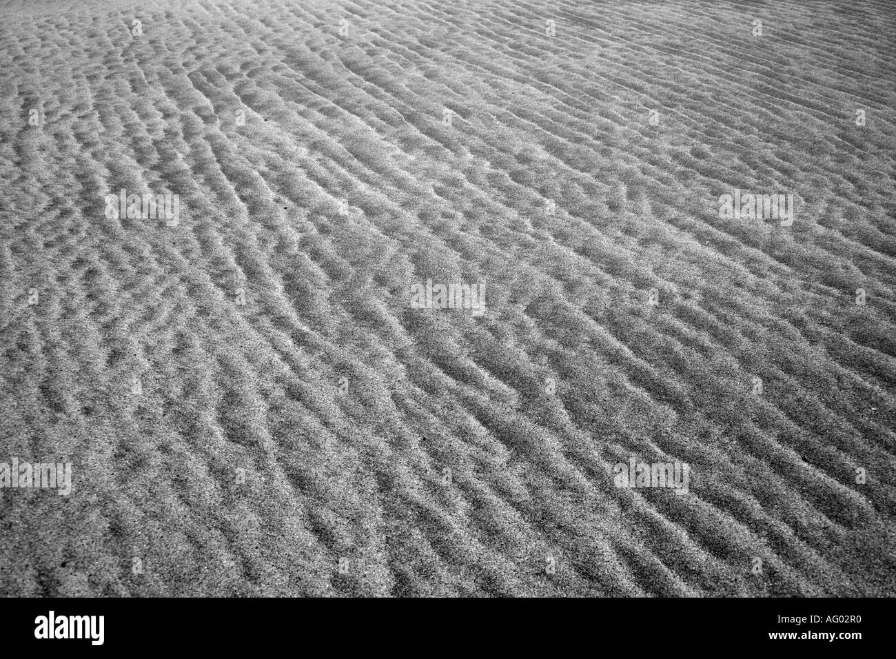 Patterns in Sand Whitesands Beach Stock Photo - Alamy