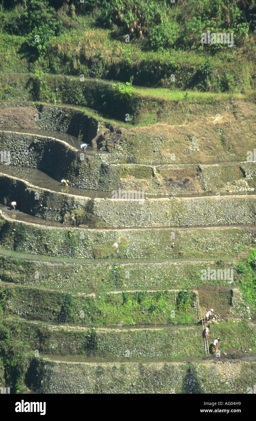 Ifugao tribe hi-res stock photography and images - Alamy