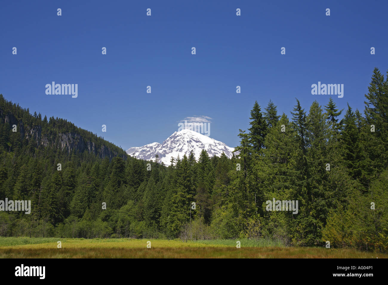Mount Rainier, Washington, USA Stock Photo - Alamy