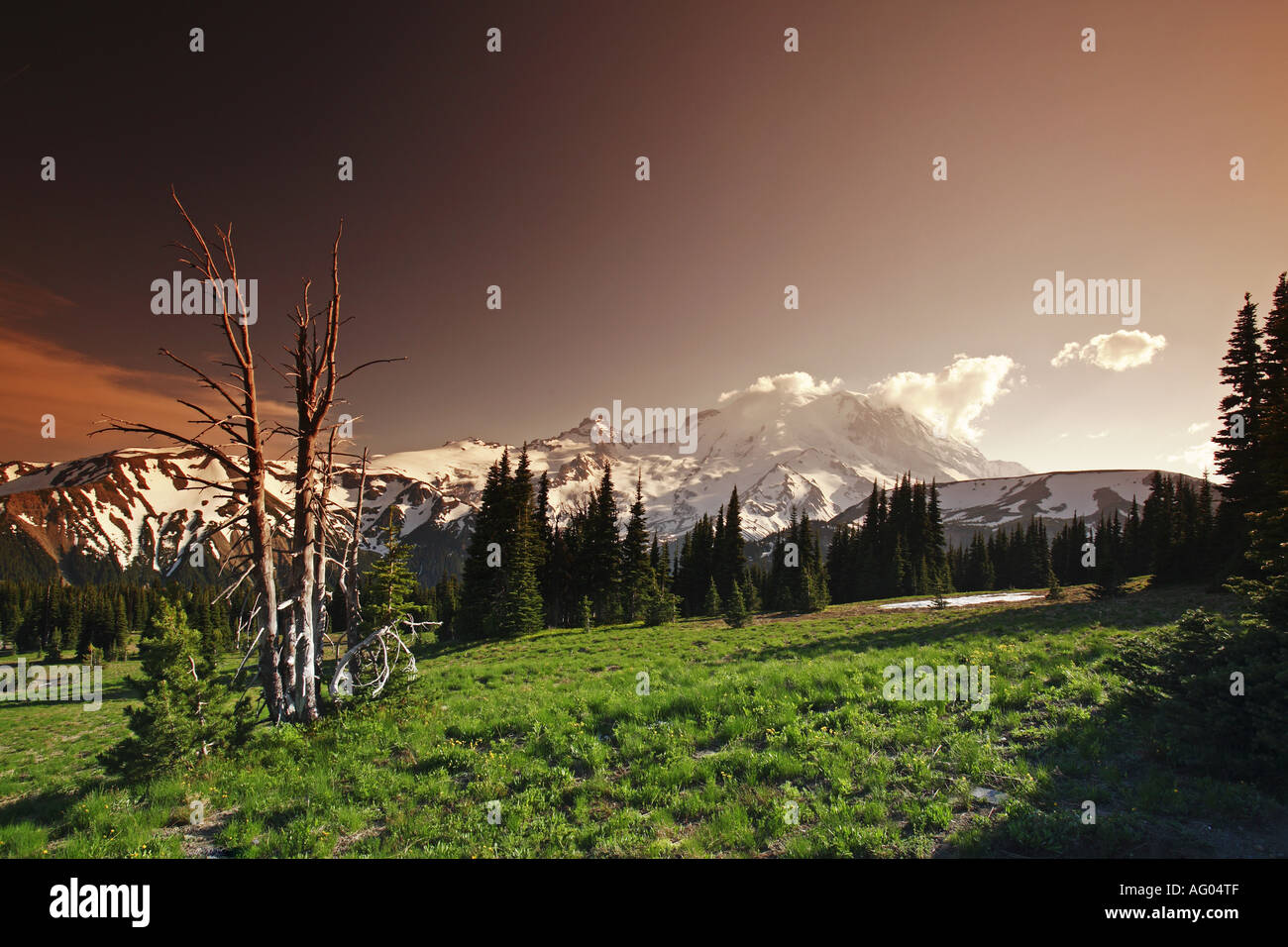 Mount Rainier view from Sunrise, Washington, USA Stock Photo - Alamy