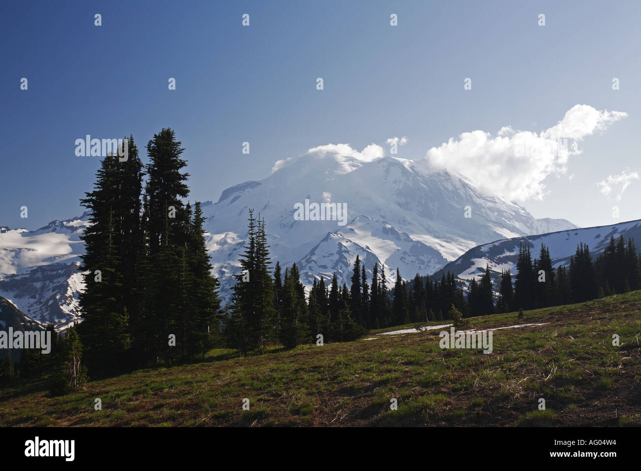 Mount Rainier view from Sunrise, Washington, USA Stock Photo - Alamy