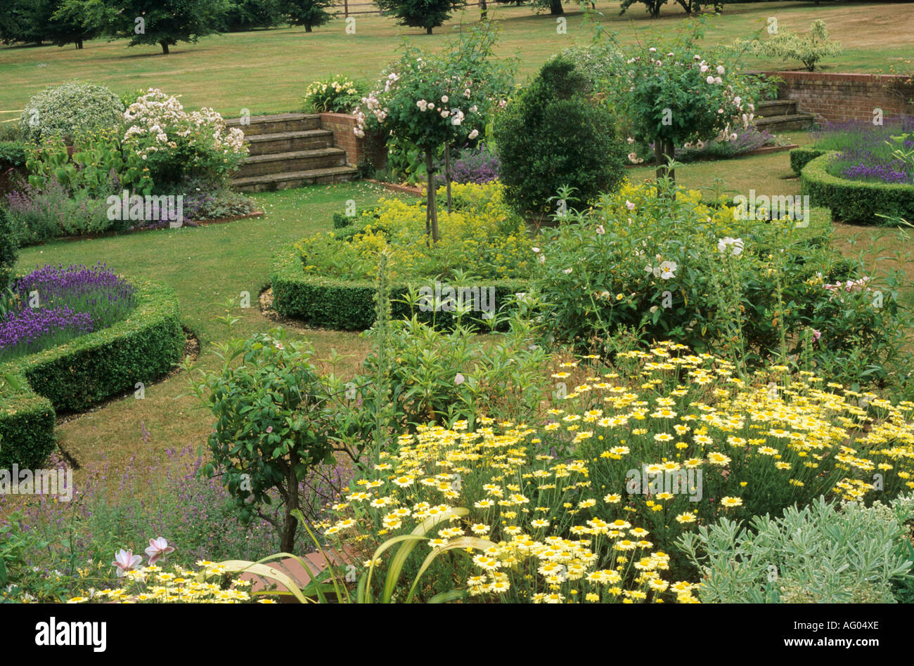 Sunken Garden Anthemis box hedges steps Stock Photo - Alamy