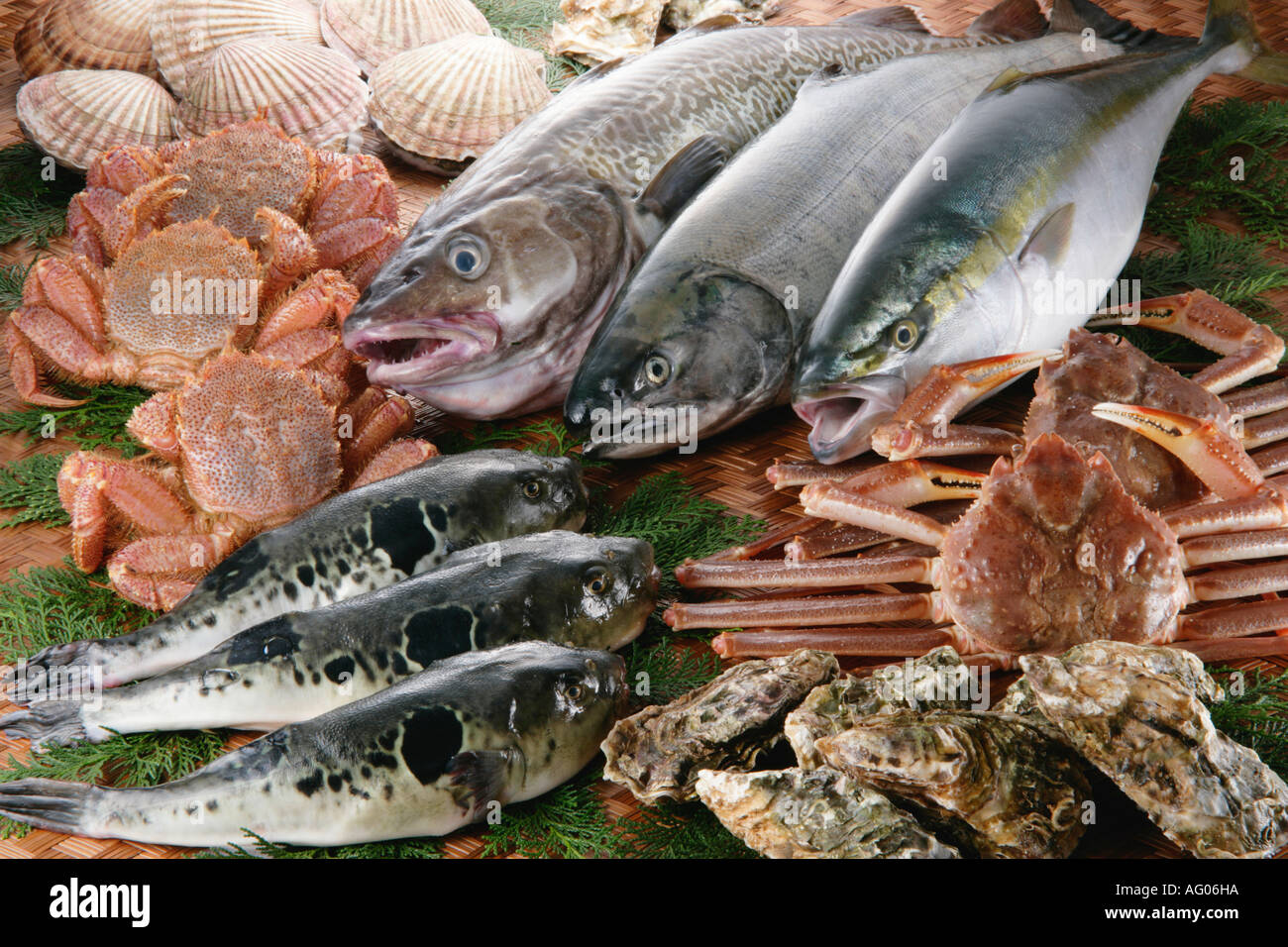 Puffer salmon hi-res stock photography and images - Alamy