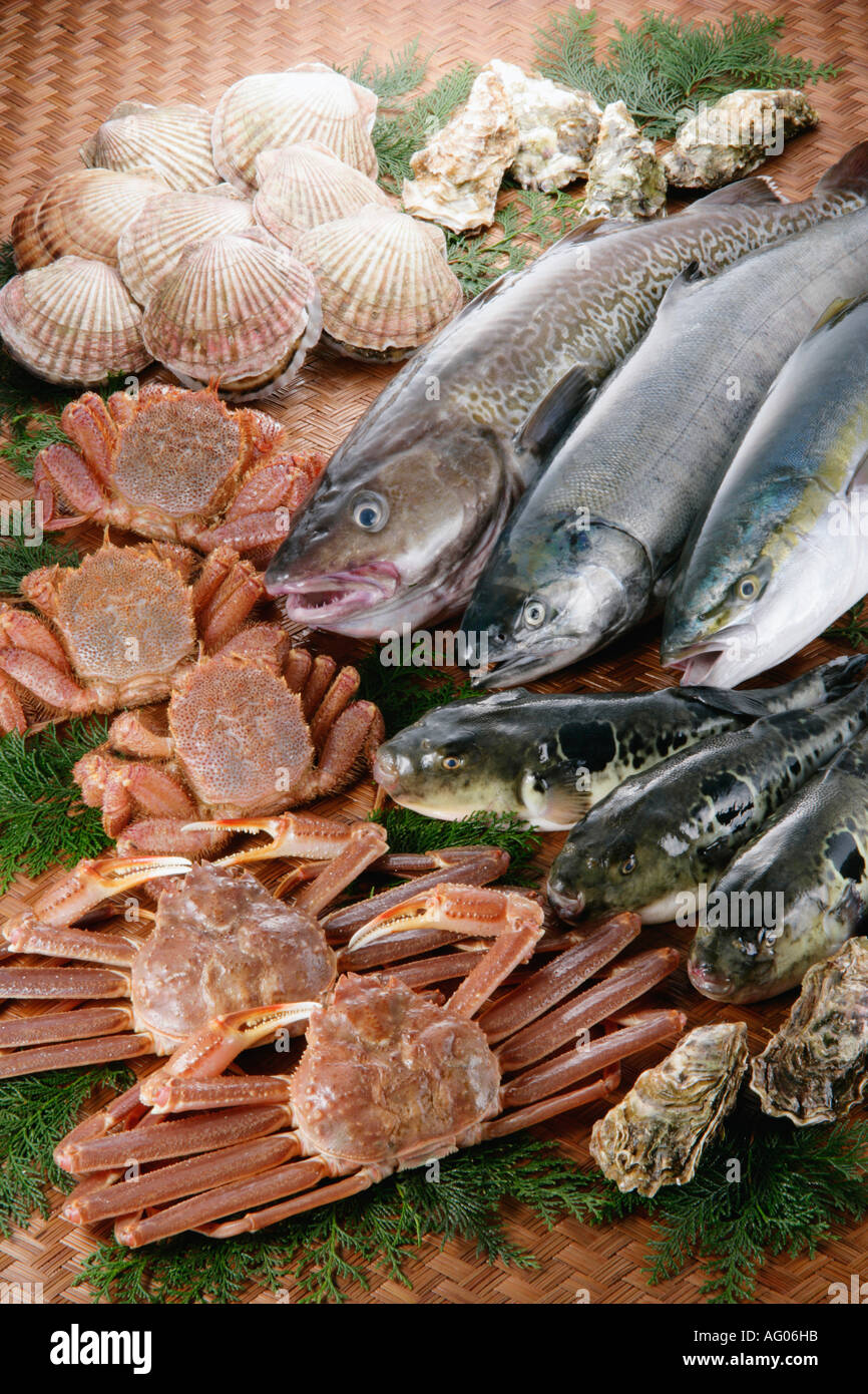 Puffer salmon hi-res stock photography and images - Alamy