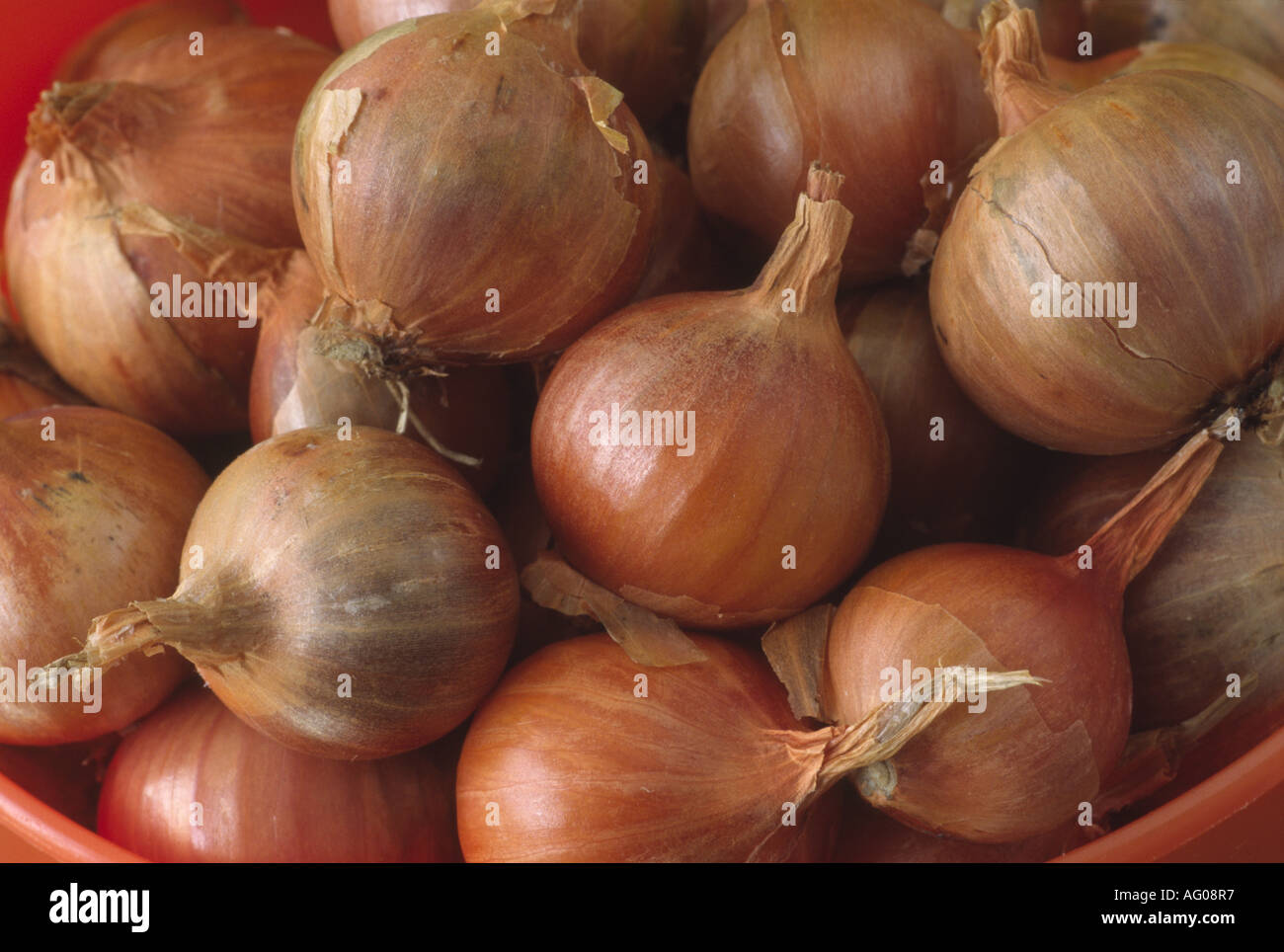 Red sun shallot hi-res stock photography and images - Alamy