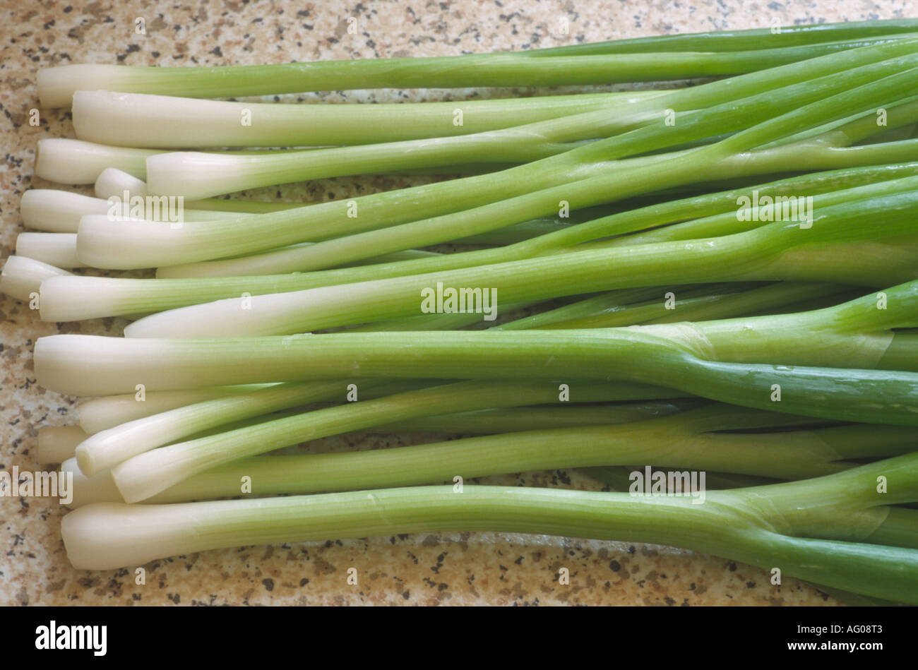 Allium fistulosum 'Summer Isle' AGM Spring onions (Salad onions ...