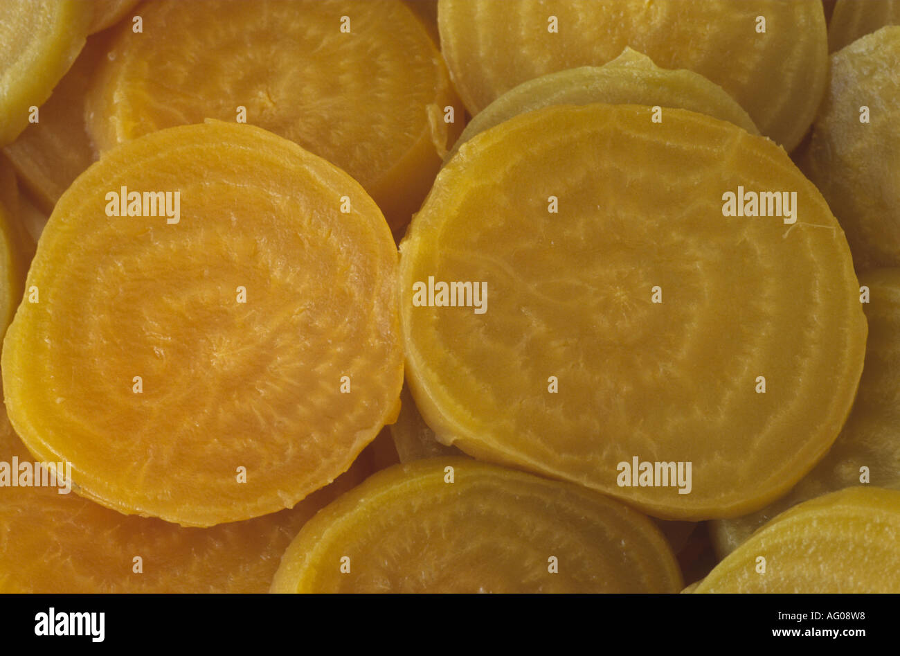 Beta vulgaris 'Burpee's Golden' Yellow beetroot cooked, peeled and ...