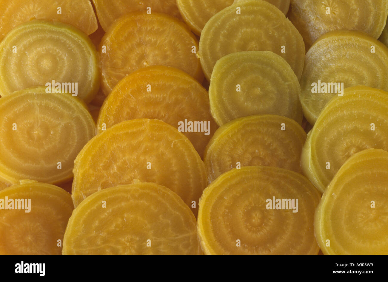 Beta vulgaris 'Burpee's Golden' Yellow beetroot cooked, peeled and ...