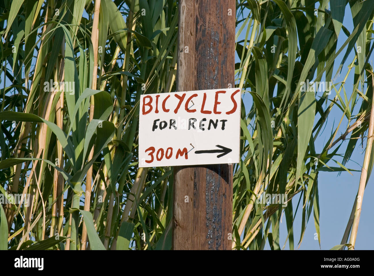 bicycle for rent sign Stock Photo - Alamy