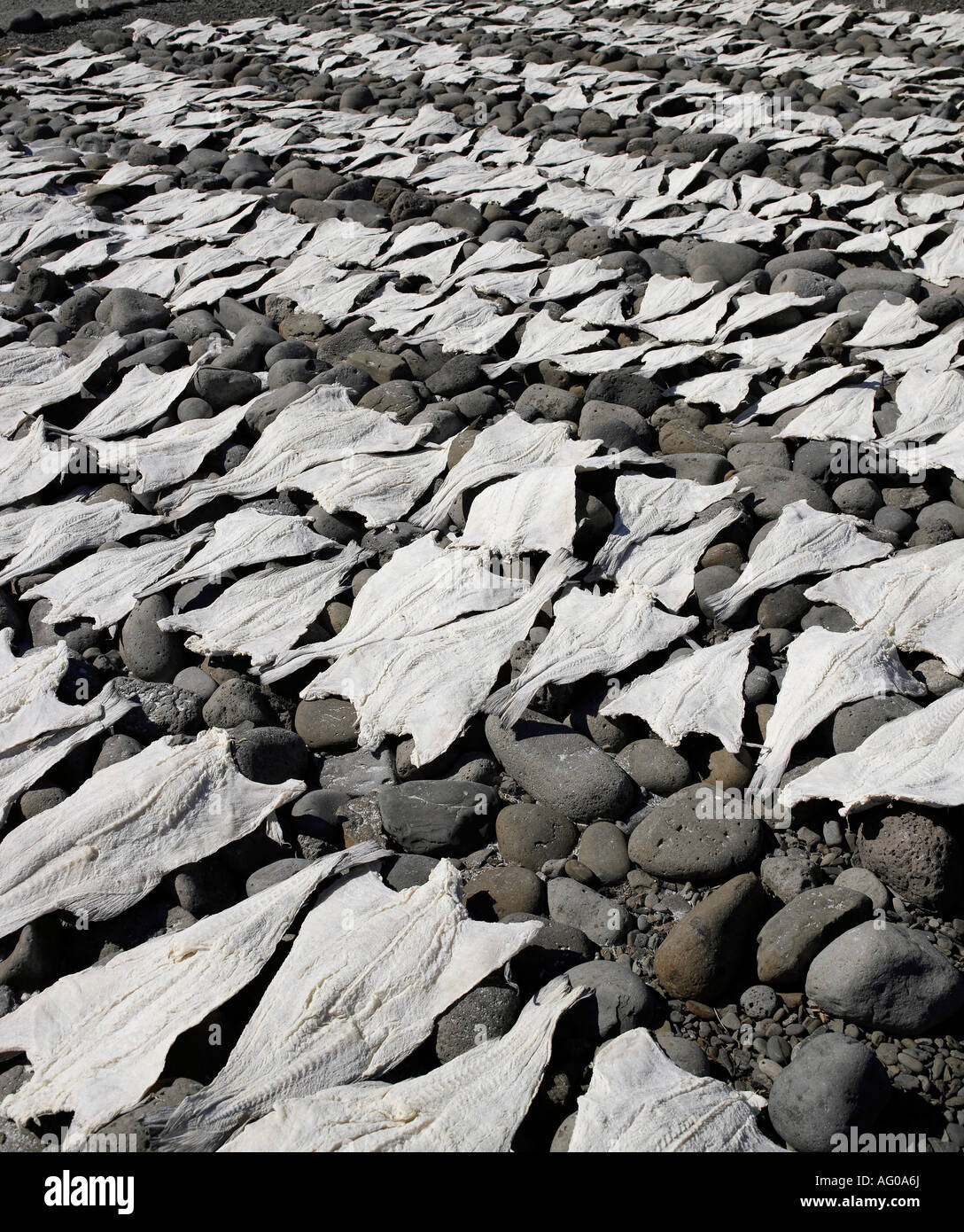 Salted cod fish hi-res stock photography and images - Alamy