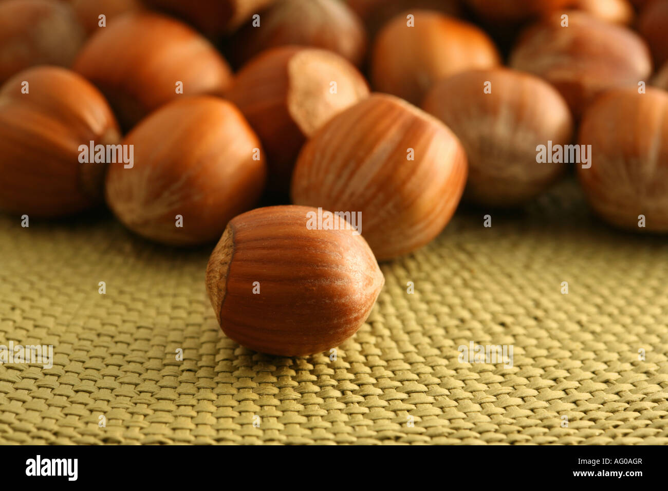 hazel nuts in shells often eayen over the festive christmas holidays a ...