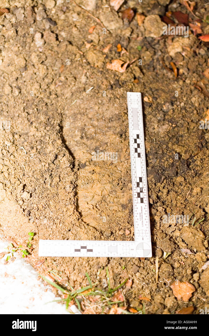 Forensic ruler by shoe print Stock Photo - Alamy