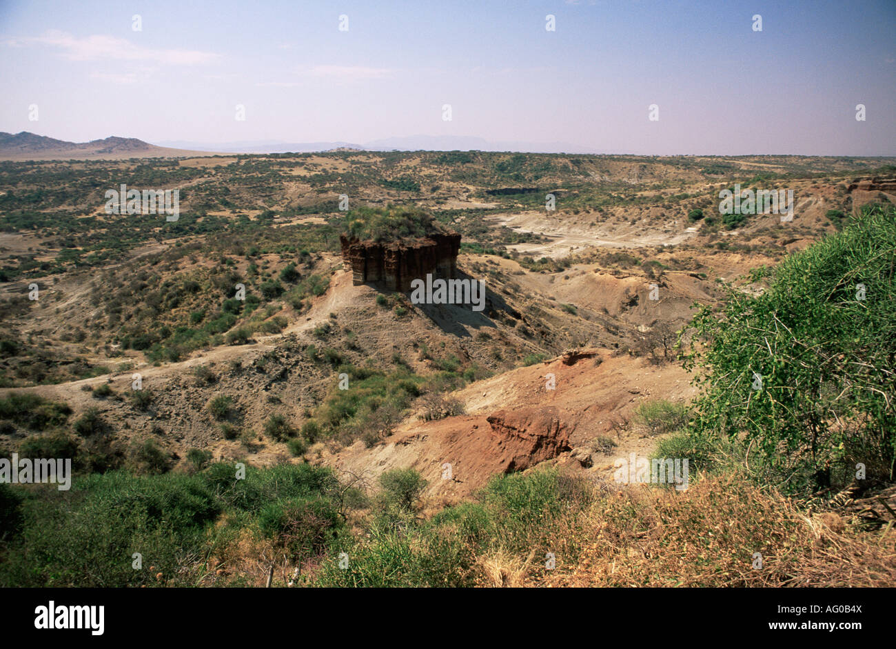 Olduvai gorge Serengeti Nationanl Park Rift Valley Tanzania Stock Photo ...