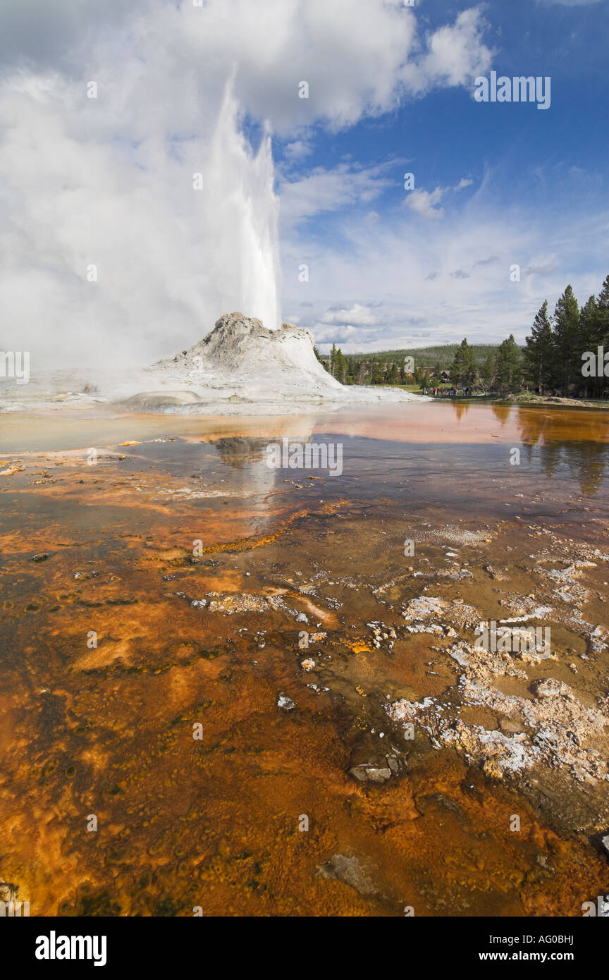 Yellowstone Geyser - The Castle geyser upper geyser basin yellowstone ...