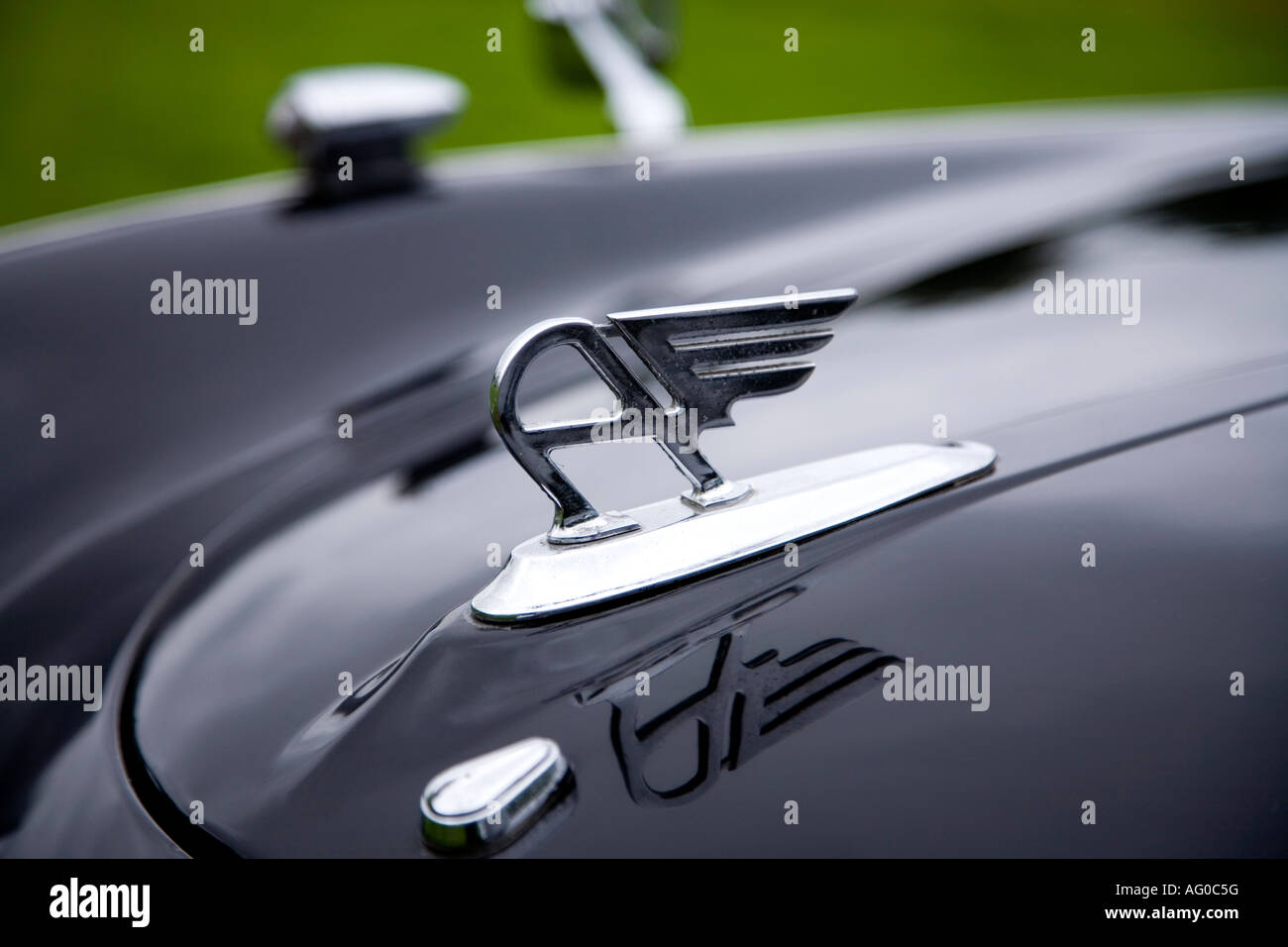 Austin bonnet mascot hi-res stock photography and images - Alamy