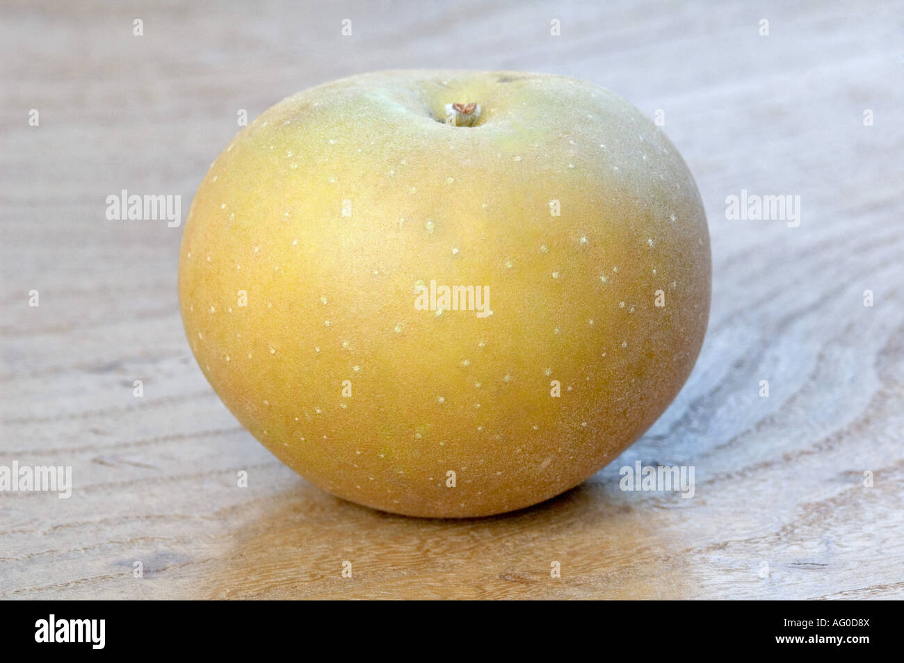 Russet Apple High Resolution Stock Photography and Images - Alamy