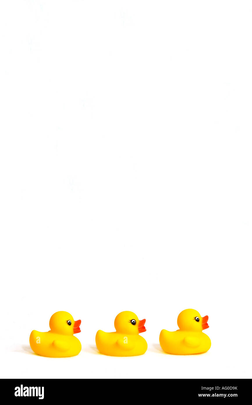 Three rubber ducks in a row Stock Photo - Alamy