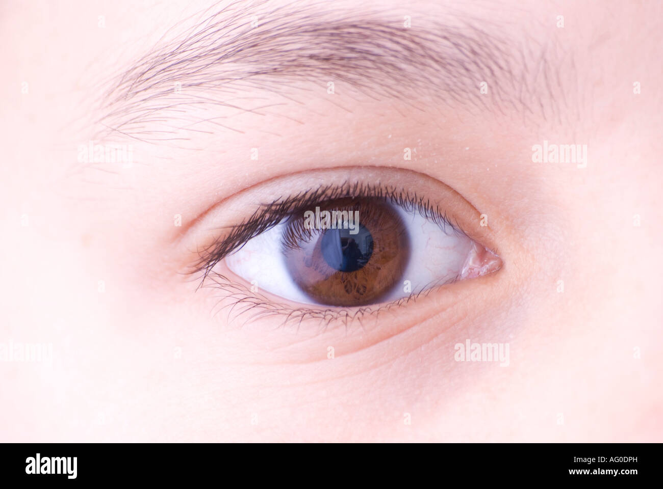 Close up of a young girl's eye Stock Photo - Alamy