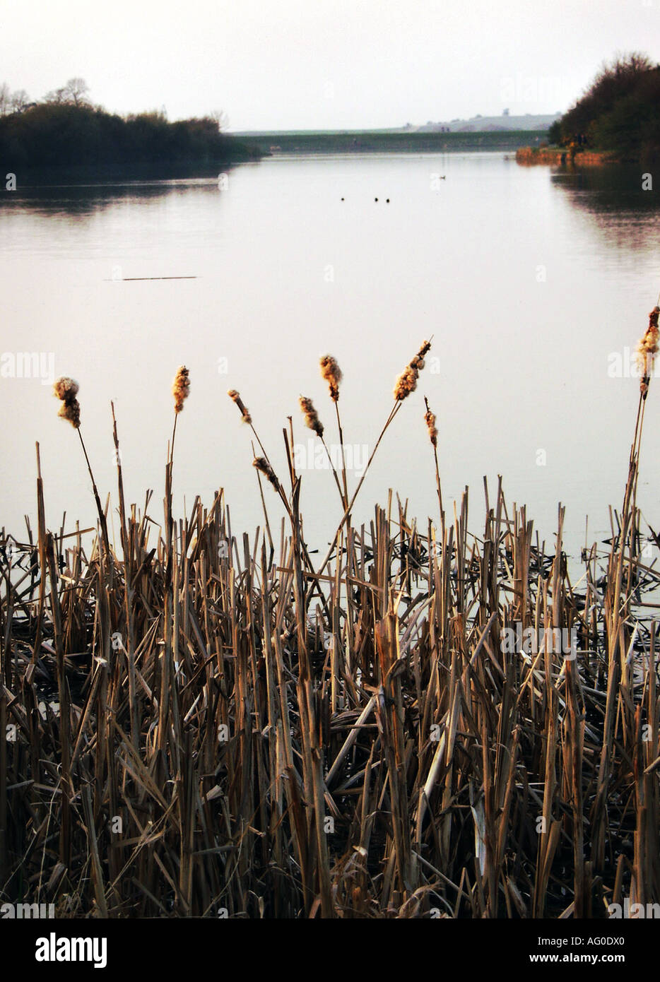 Thrybergh lake at Thrybergh Country Park in Rotherham South Yorkshire ...