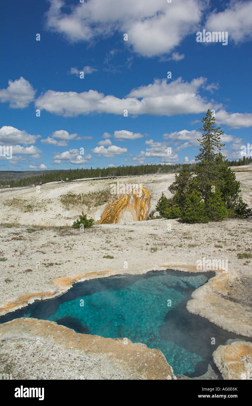blue star spring upper geyser basin yellowstone national park wyoming ...