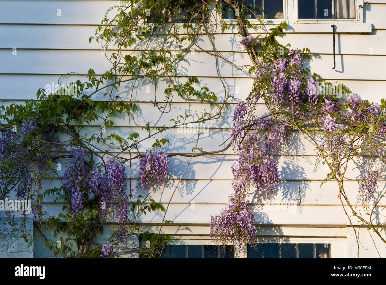 Kentish vernacular architecture hi-res stock photography and images - Alamy