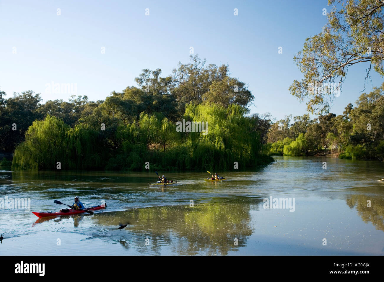 Adventure kayaking south australia hi-res stock photography and images ...
