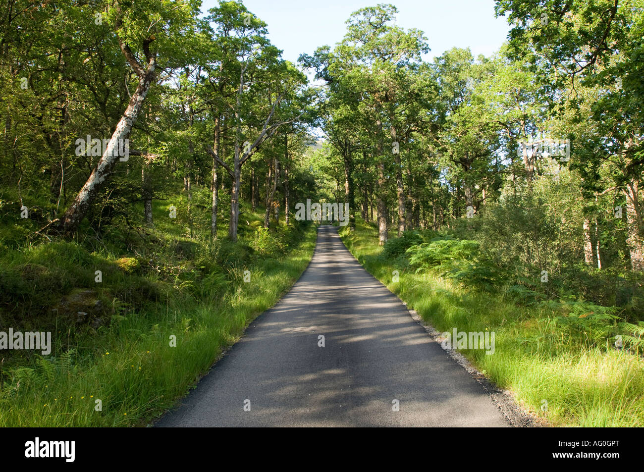 Empty Road in Country Stock Photo - Alamy