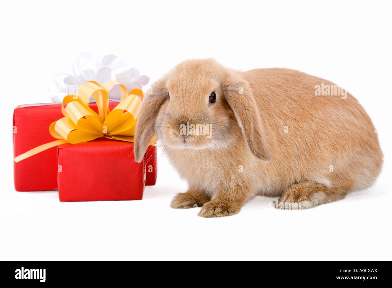 Tiny gift box red Cut Out Stock Images & Pictures - Alamy