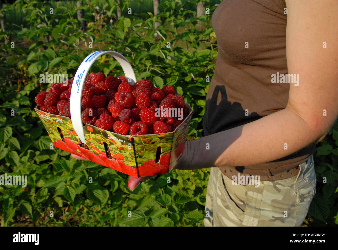 Woman and raspberries Stock Photo - Alamy