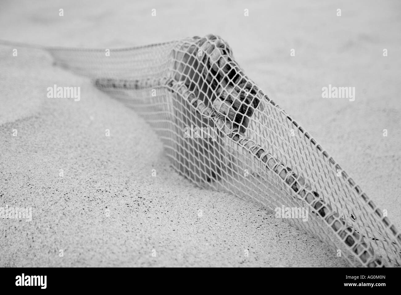 Erosion netting Black and White Stock Photos & Images - Alamy