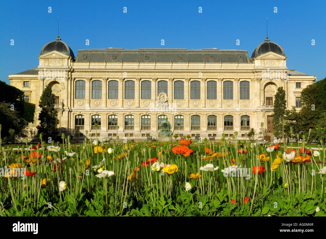 BOTANIC MUSEUM - PARIS - FRANCE Stock Photo - Alamy