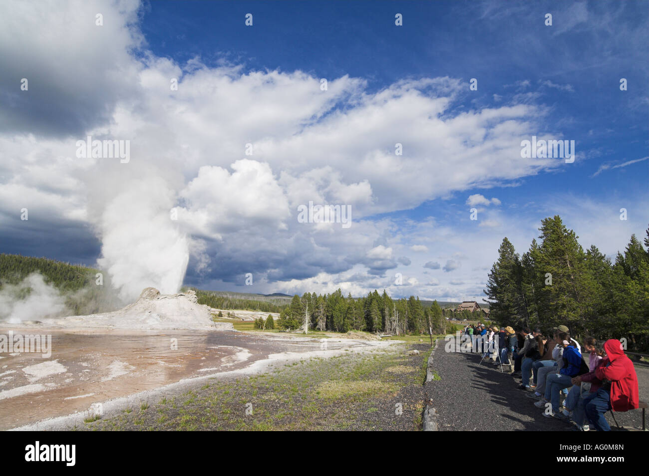 castle geyser upper geyser basin yellowstone national park wyoming usa ...