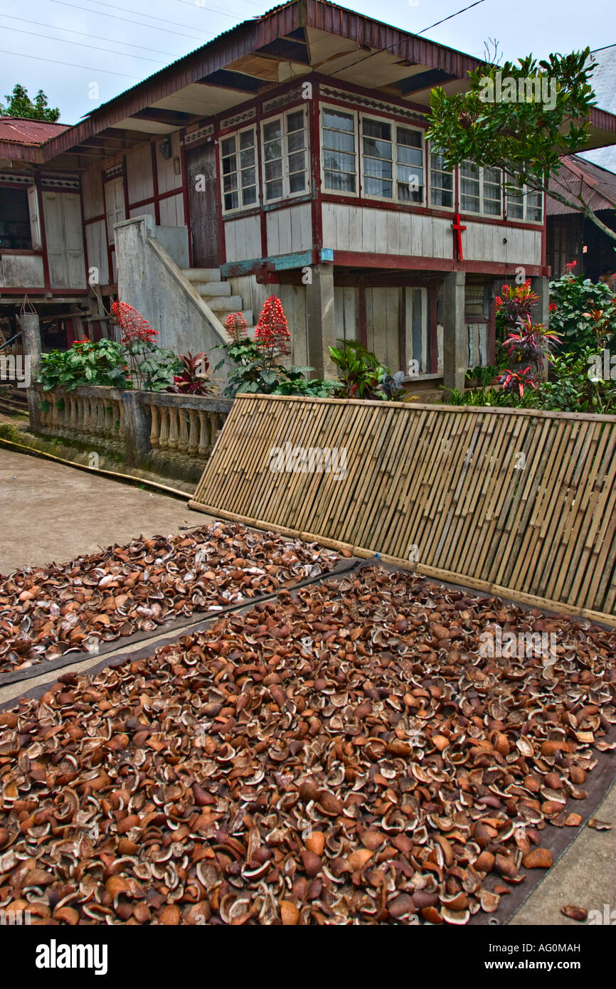 Husked coconut shells, Sulawesi (Celebes), Indonesia, Asia Stock Photo ...