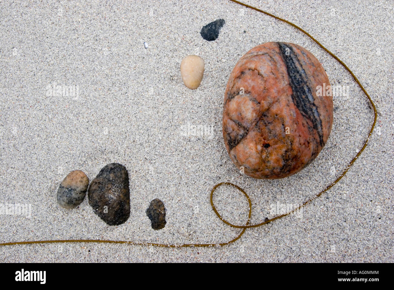 Pattern of seaweed and coloured pebbles on sand Stock Photo - Alamy