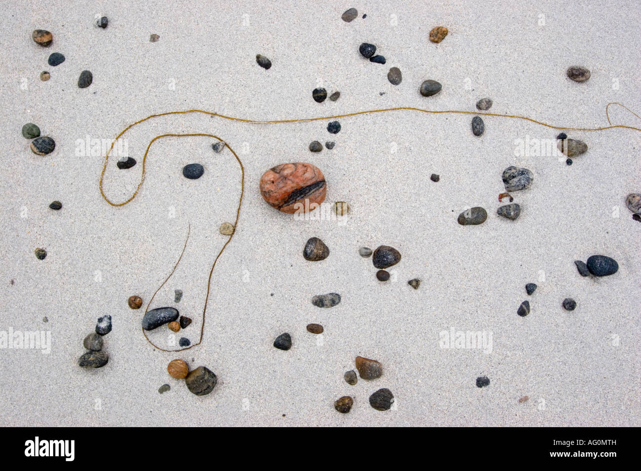 Pattern of seaweed and coloured pebbles on sand Stock Photo - Alamy
