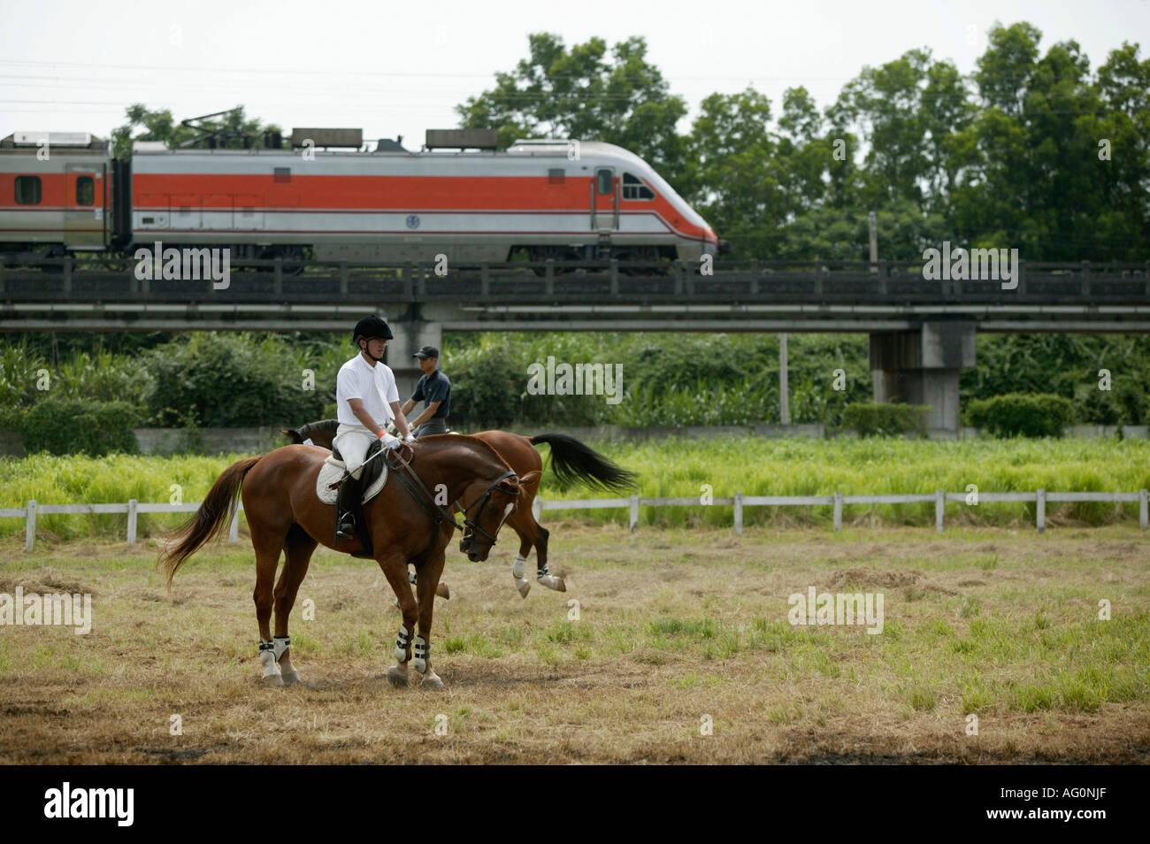 Horse & train Stock Photo - Alamy