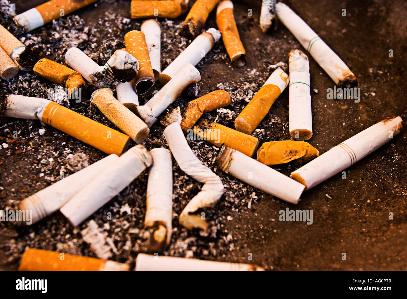 A collection of cigarette butts Stock Photo - Alamy