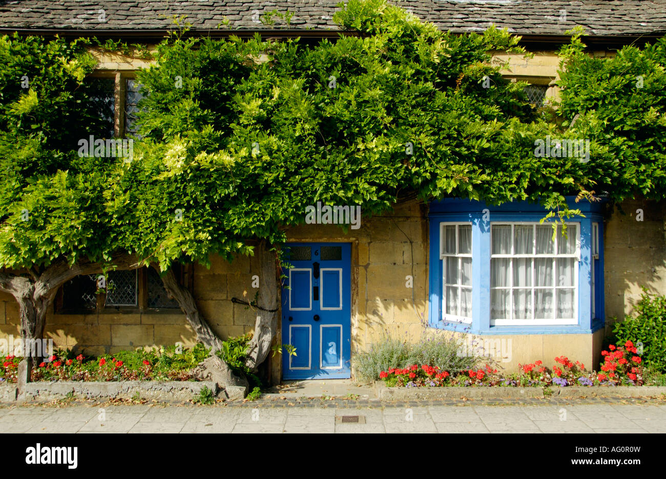 House with spreading tree on outside in Broadway Worcestershire England ...