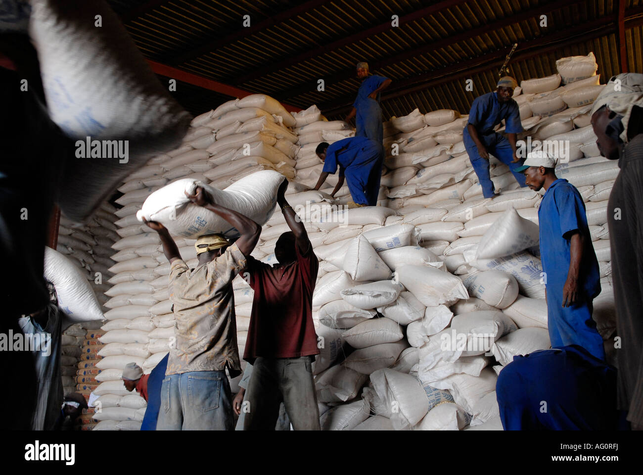 Workers carrying sacks of maize in a storage warehouse of World Food ...