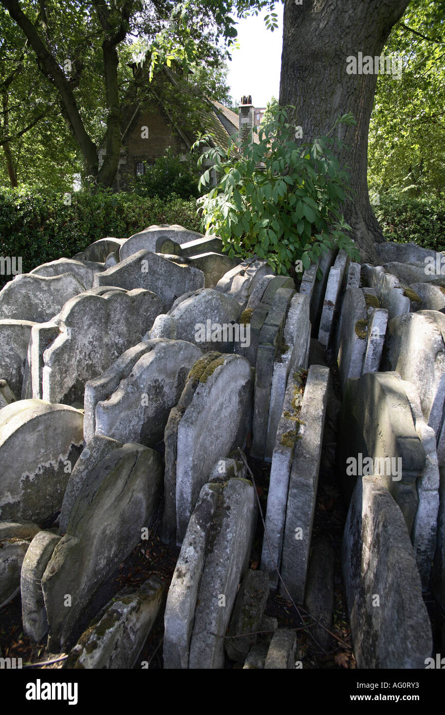 The Hardy Tree. St Pancras Old Church, Camden, London, England Stock ...