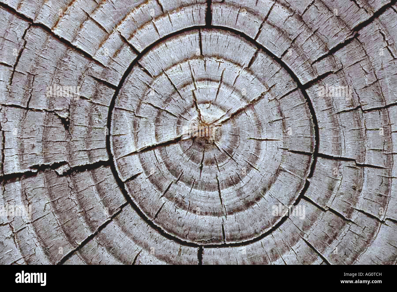 Concentric weathering hi-res stock photography and images - Alamy